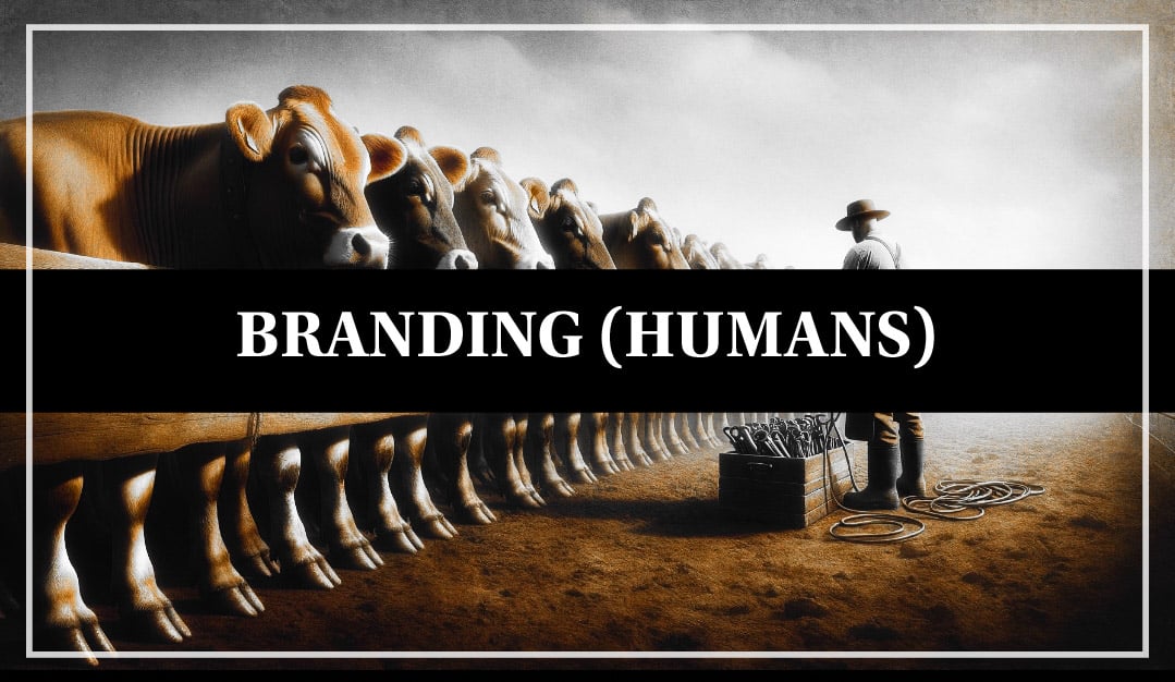 Building A Brand, One Human At A Time Multiverse Media Group